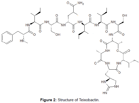 New Generation Antibiotics/Antibacterials: Deadly Arsenal for Dis