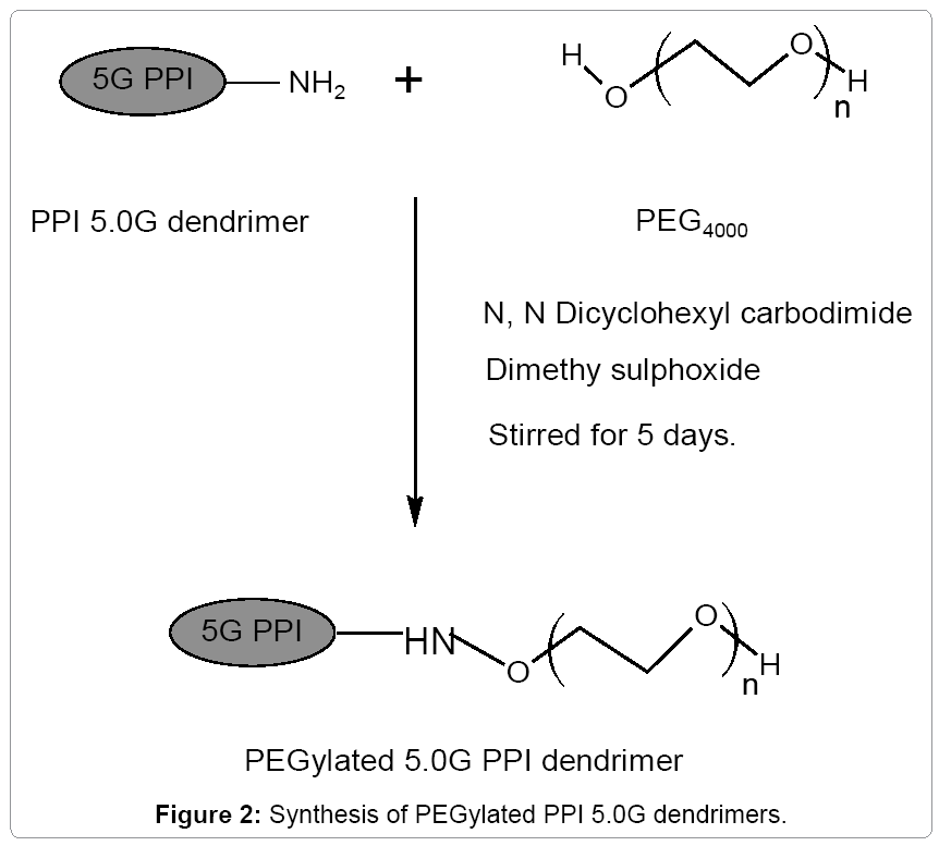 Pegylated PPI Dendrimer Cored with Ethylene Diamine for Prolonged