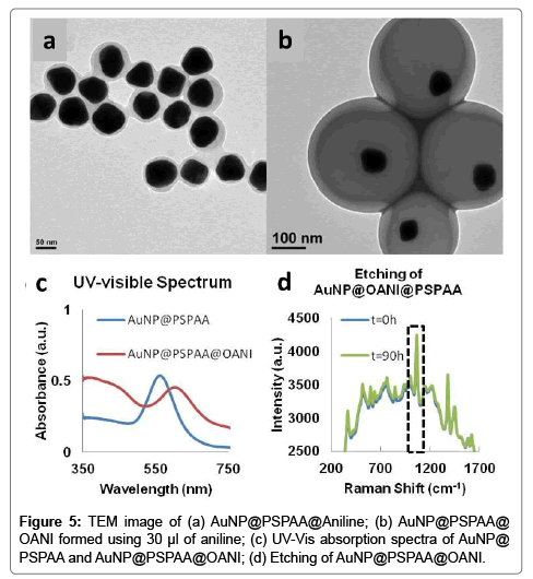 Probing Ionic Diffusion Dynamics through the Modulation of Polyme