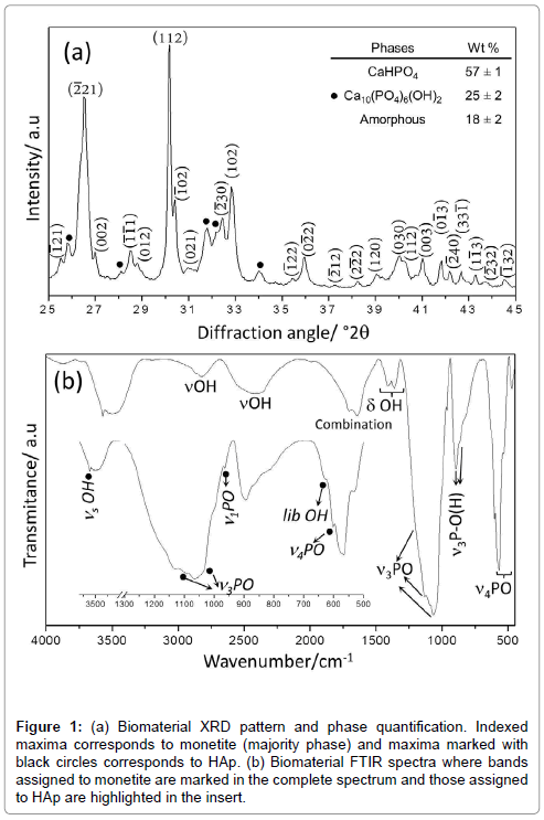 Novel Nanostructured Zn-substituted Monetite Based Biomaterial for Bone ...