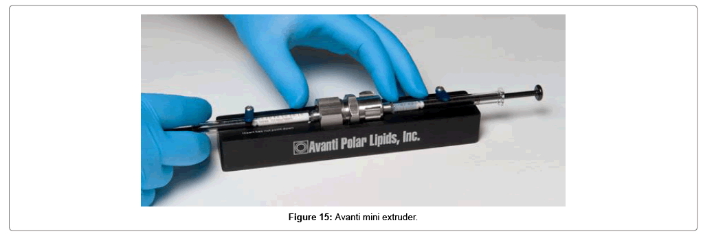 Investigation of Interaction of Soft Nanoparticles based Vesicles with ...