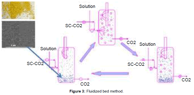 Proliposomes as Pharmaceutical Drug Delivery System: A Brief Review
