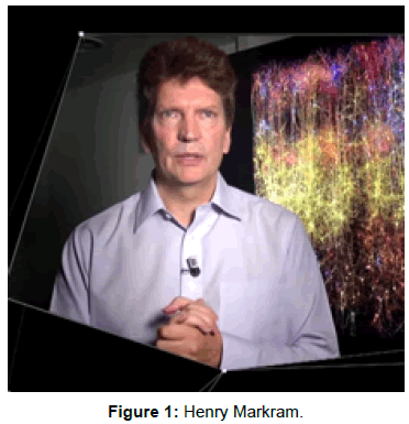 Upgrading Human Brain to Blue Brain