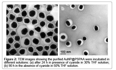Probing Ionic Diffusion Dynamics through the Modulation of Polyme