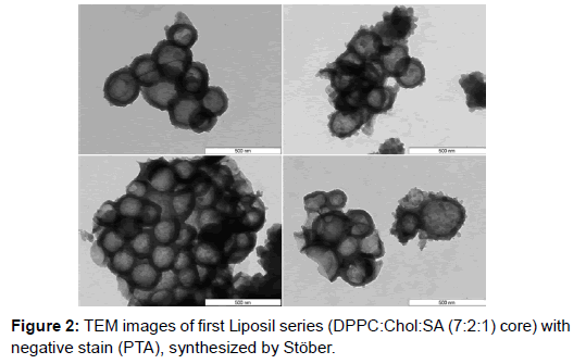 Liposil Nanocarriers for Pharmaceutical Applications: Synthesis