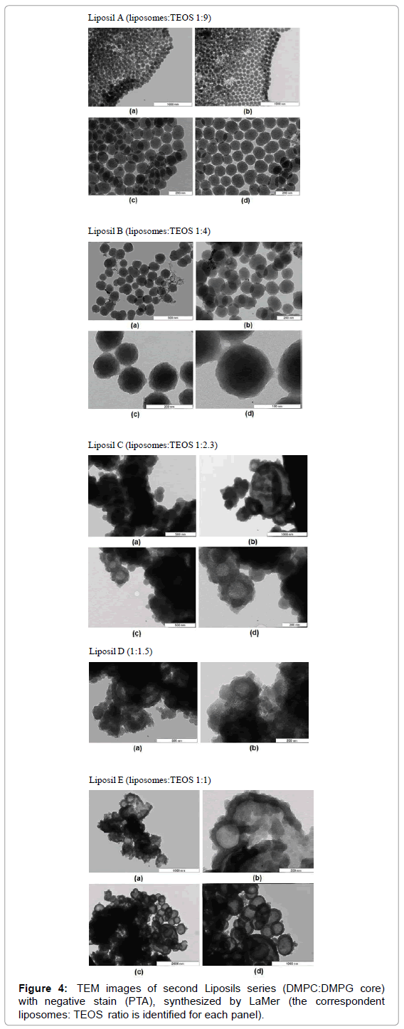 Liposil Nanocarriers for Pharmaceutical Applications: Synthesis
