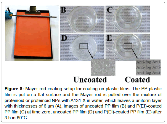 Engineering of New Proteinoids and Proteinoid Nanoparticles of Na