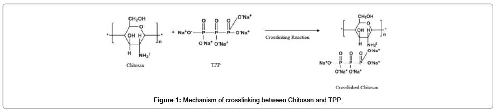 Ganciclovir Loaded Chitosan Nanoparticles: Preparation and Chara