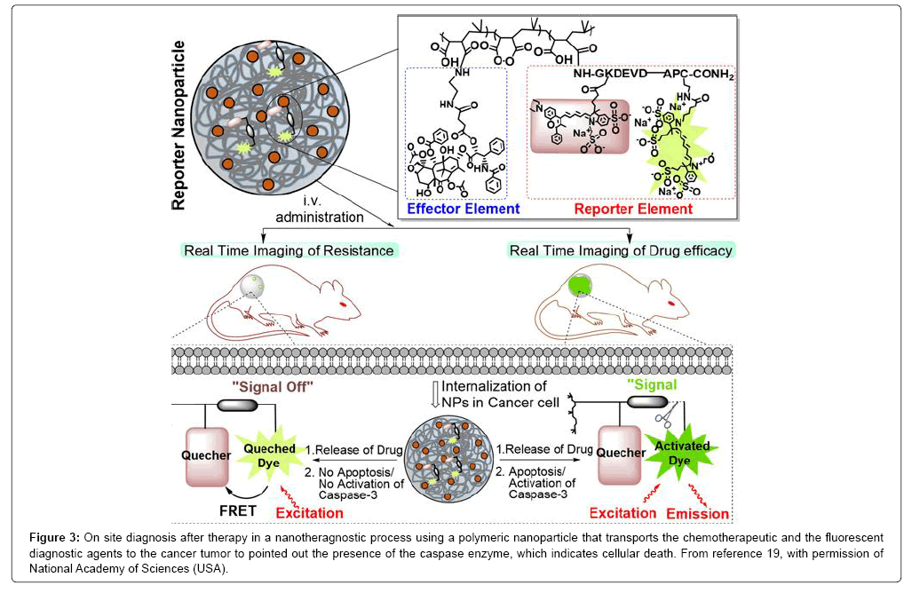 Nanothera(g)nosis and Chemistry: A Fruitful Binomial