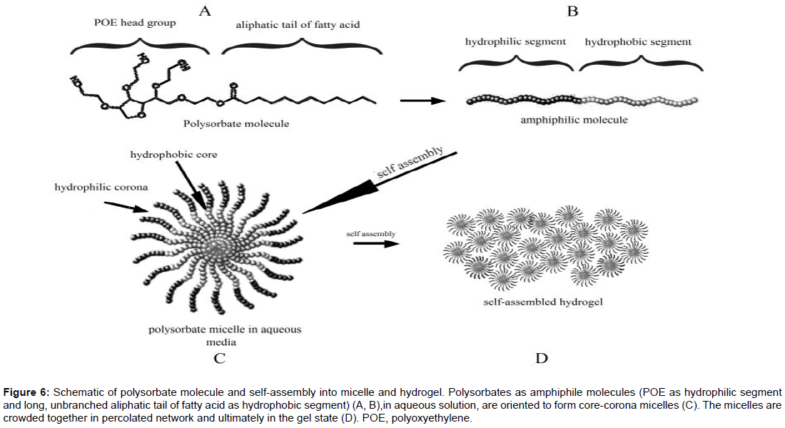 Polymeric Nanostructures as Colloidal Drug Delivery Systems: Ther
