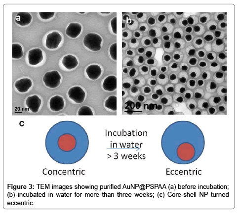 Probing Ionic Diffusion Dynamics through the Modulation of Polyme