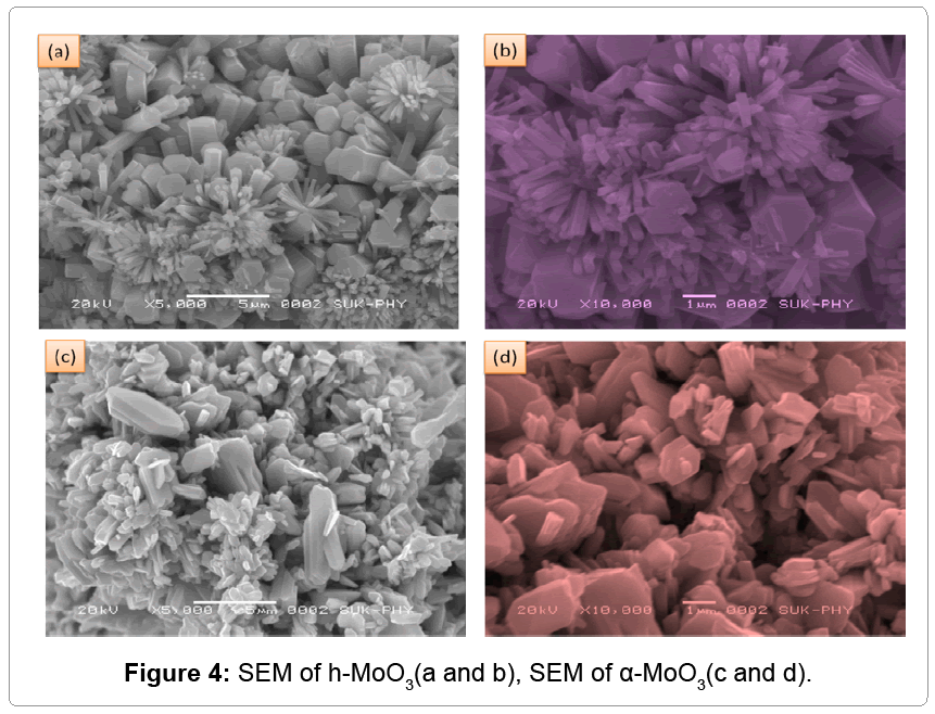 Chemically Grown MoO3 Nanorods for Antibacterial Activity Study