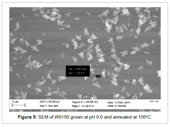 Synthesis and Characterization of Zinc Oxide (ZnO) Nanowire