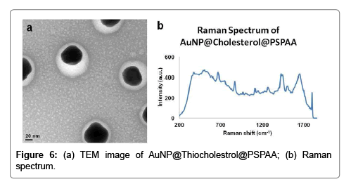 Probing Ionic Diffusion Dynamics through the Modulation of Polyme