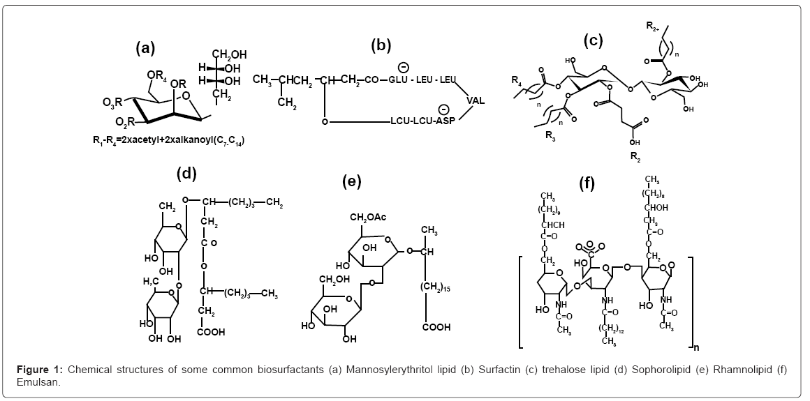 Biosurfactant: Production and Application