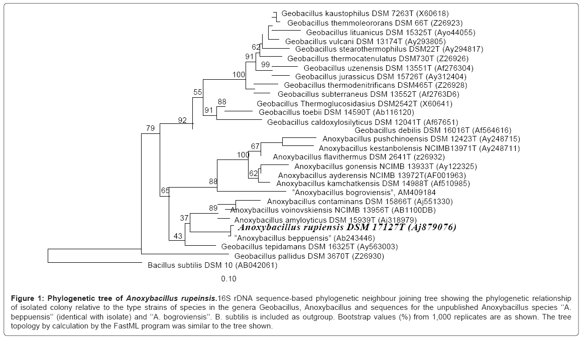 Decolourization of textile effluent by a thermophilic bacteria ...