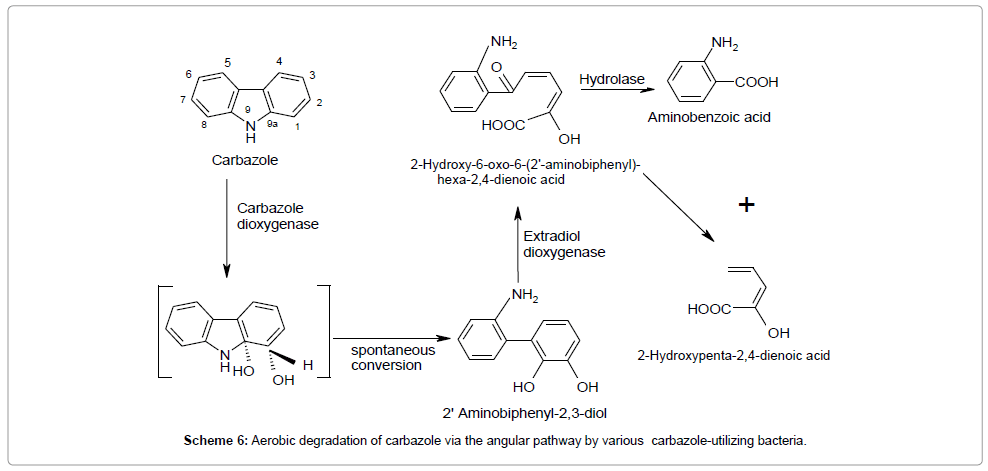 Aerobic Degradation of Petroleum Components by Microbial Consortia