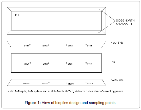 Bioremediation for a Soil Contaminated with Hydrocarbons