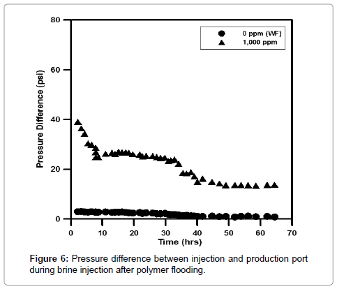 Experimental Investigation of Polymer Adsorption-Induced Permeabi