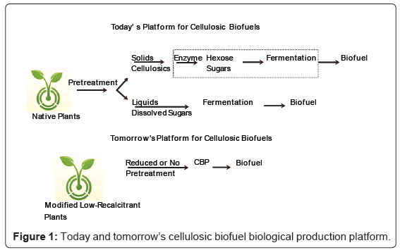 Do-Able Biofuels