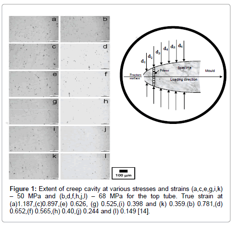 Uncertainty in Damage Assessment and Remaining Life Prediction of ...