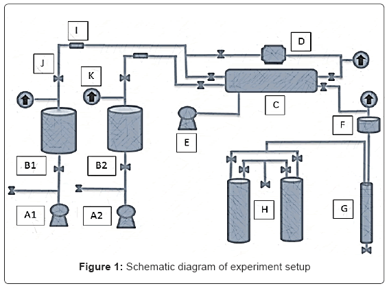 Experimental Study of CO2-EOR and N2-EOR with Focus on Relative P