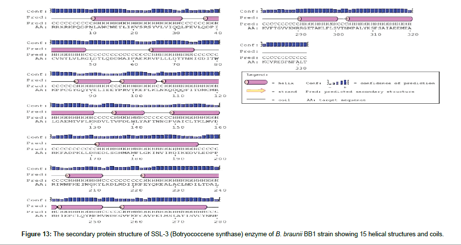 In Silico Modeling and Characterization of Squalene Synthase and ...