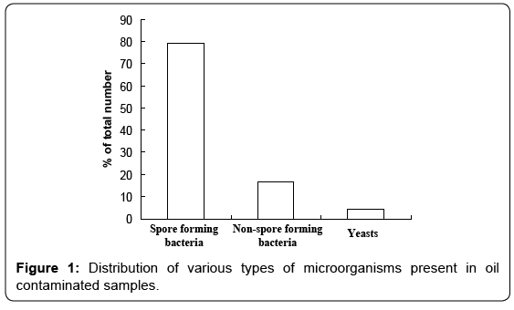 A Potent Biosurfactant Producing Bacterial Strain for Application