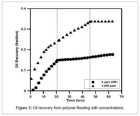Experimental Investigation of Polymer Adsorption-Induced Permeabi