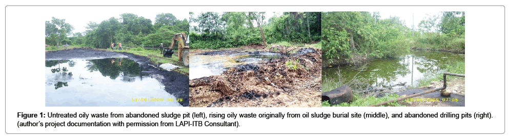 Petroleum Oil and Gas Industry Waste Treatment; Common Practice in ...