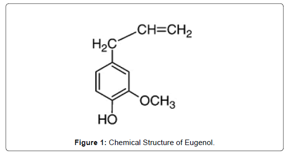 Versatile and Synergistic Potential of Eugenol: A Review