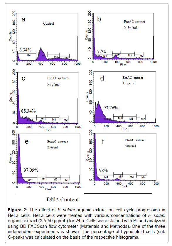 In Vitro Cytotoxicity and Apoptosis Induction in Human Cancer Cells by ...