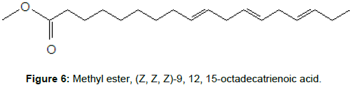 Phytochemical Analysis in the Leaves of Chamaecrista nigricans ...