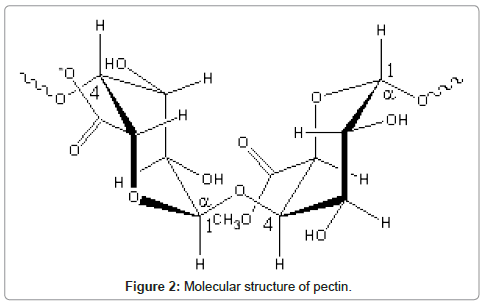 Advances in Natural Polymers as Pharmaceutical Excipients