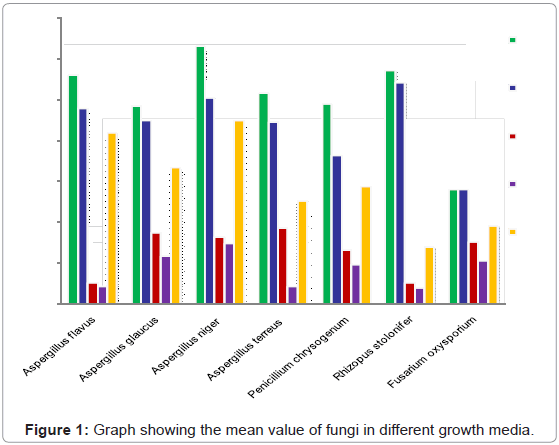 Comparative Evaluation of Growth Media for the Cultivation of Fun