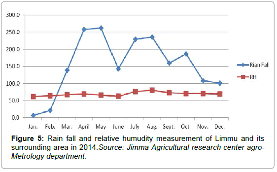 Coffee Thread Blight (Corticium koleroga): a Coming Threat for Et
