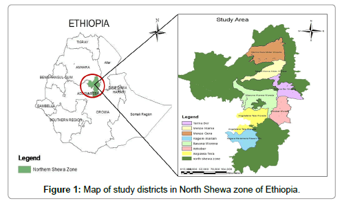 A Survey on Temperate Fruit Pests and their Importance in the Hig