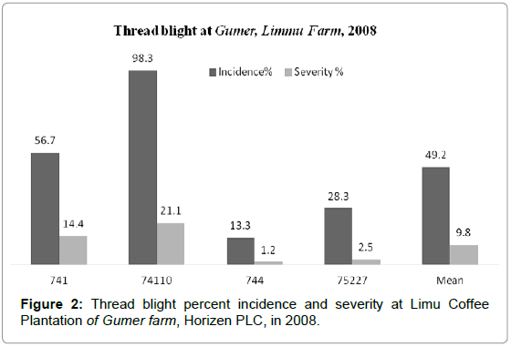 Coffee Thread Blight (Corticium koleroga): a Coming Threat for Et
