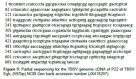 Further Molecular Characterization and Effect on Host Photosynthe