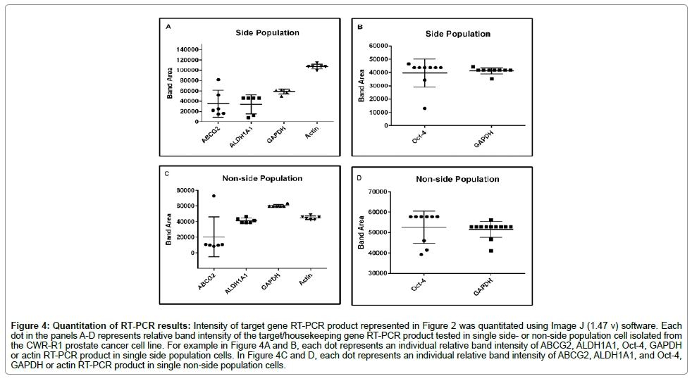 Gene Expression in Single Cells Isolated from the CWR-R1 Prostate