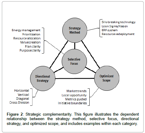 Sustainable Strategic Growth through Aligned Diversification
