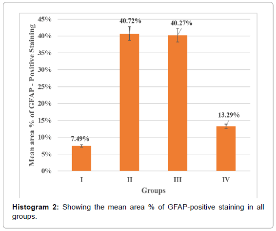Effect of Methyl Mercury on the Cerebellar Cortex of Rats and the