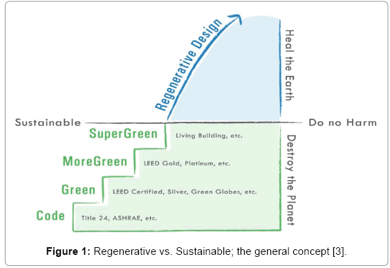 A Critical Approach for Evolution Analysis in Regenerative Develo
