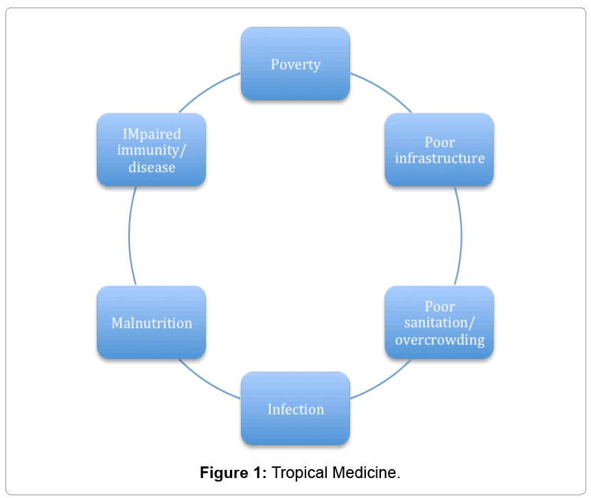What is Tropical Medicine?