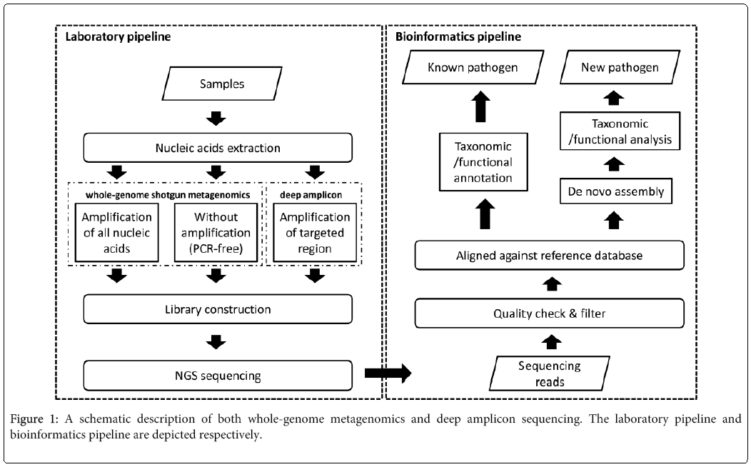 The Application of Metagenomic Approaches in the Management of In