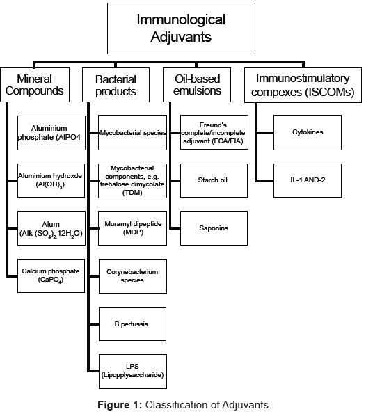 An Overview of Immunologic Adjuvants - A Review