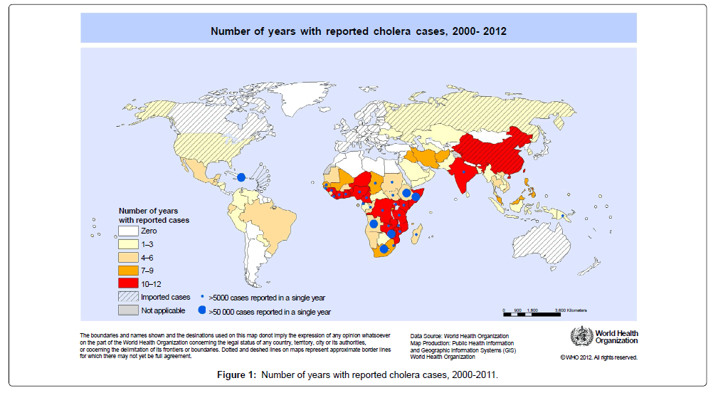 Managing Cholera as a Preventable Global Threat