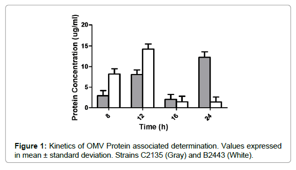 Use of Mesoporous Silica SBa-15 and SBa-16 in Association of Outer ...