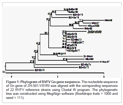 ZH501-VSVRI: Is it Still the Best Choice for Vaccination Against