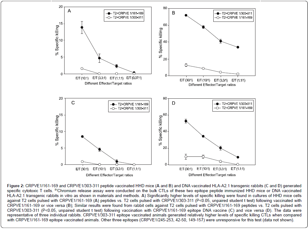 Using HLA-A2.1 Transgenic Rabbit Model to Screen and Characterize